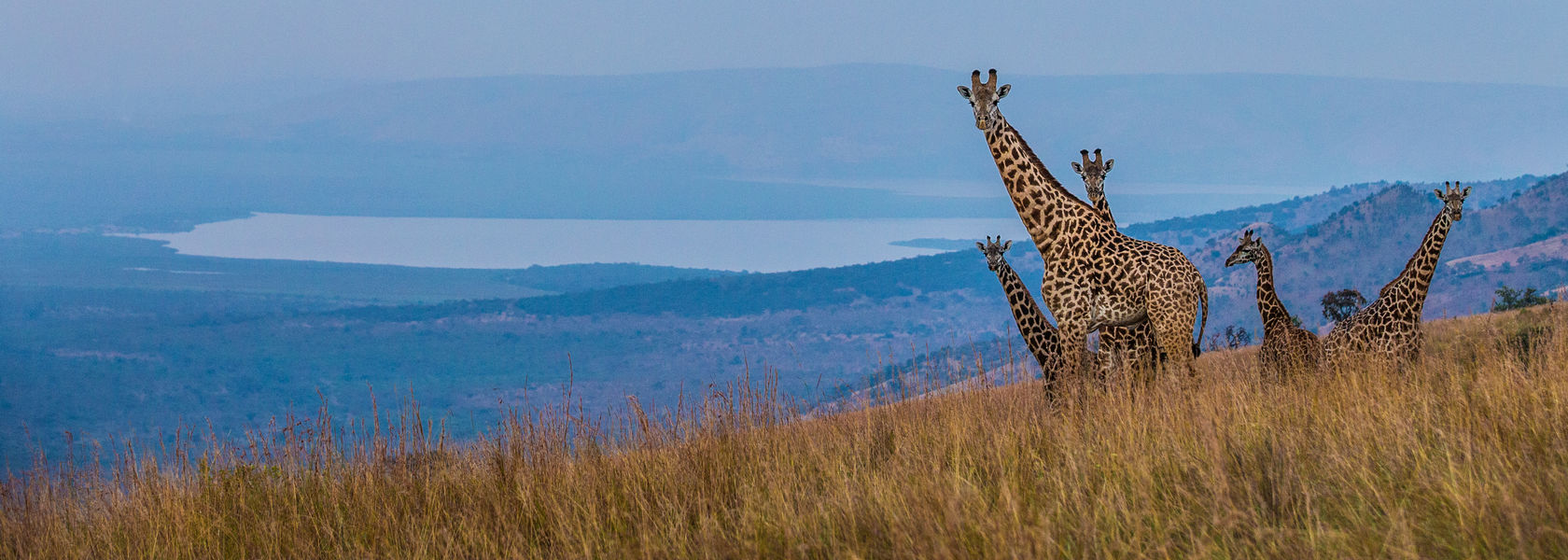 Akagera National Park - Tour and Travel Centre